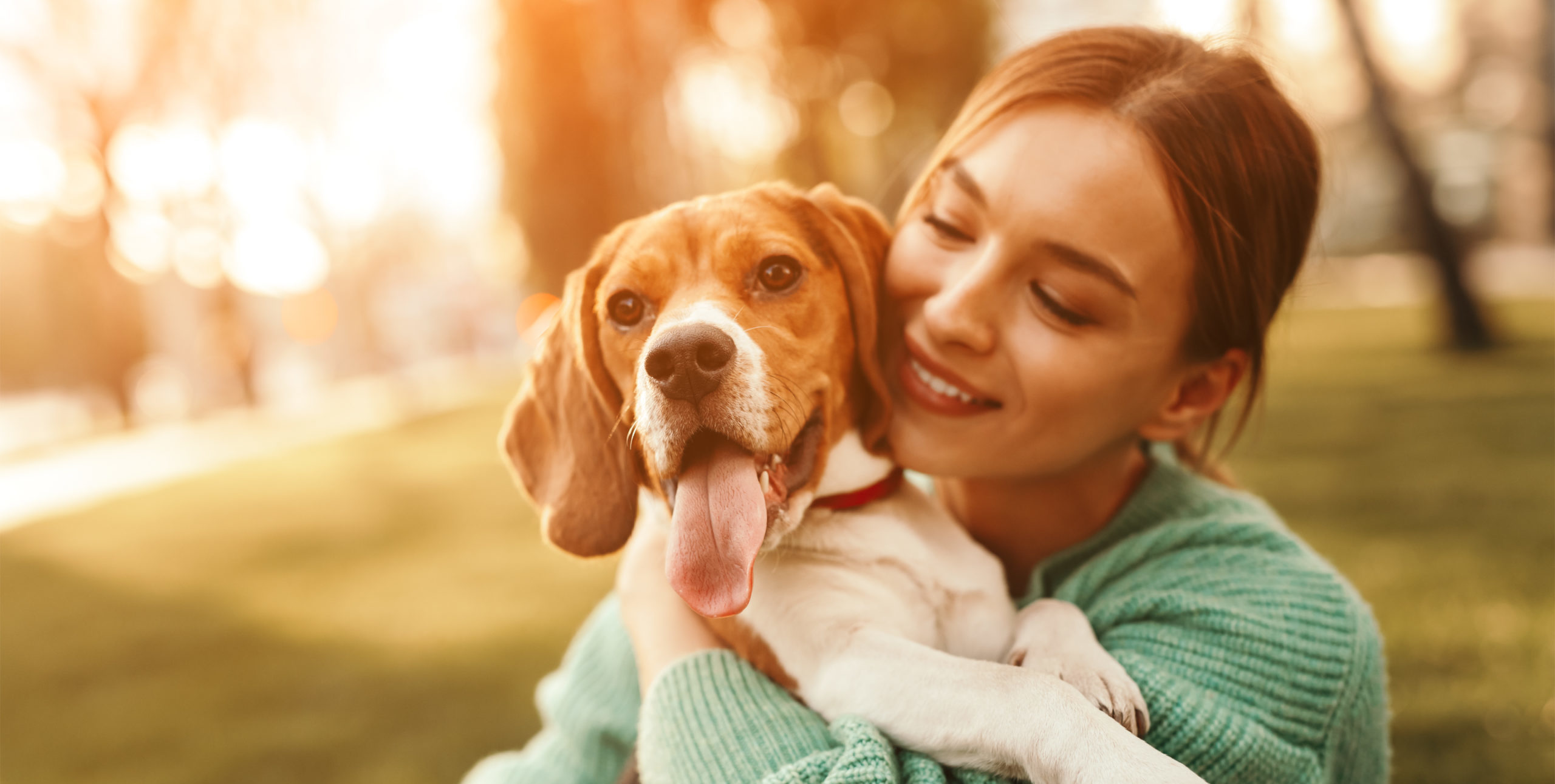 a person hugging a dog